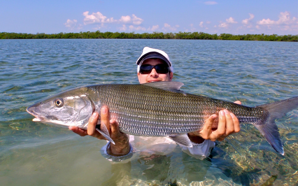 Fishing - Miami Flats Fishing Guide Miami, FL - Shallow Tails